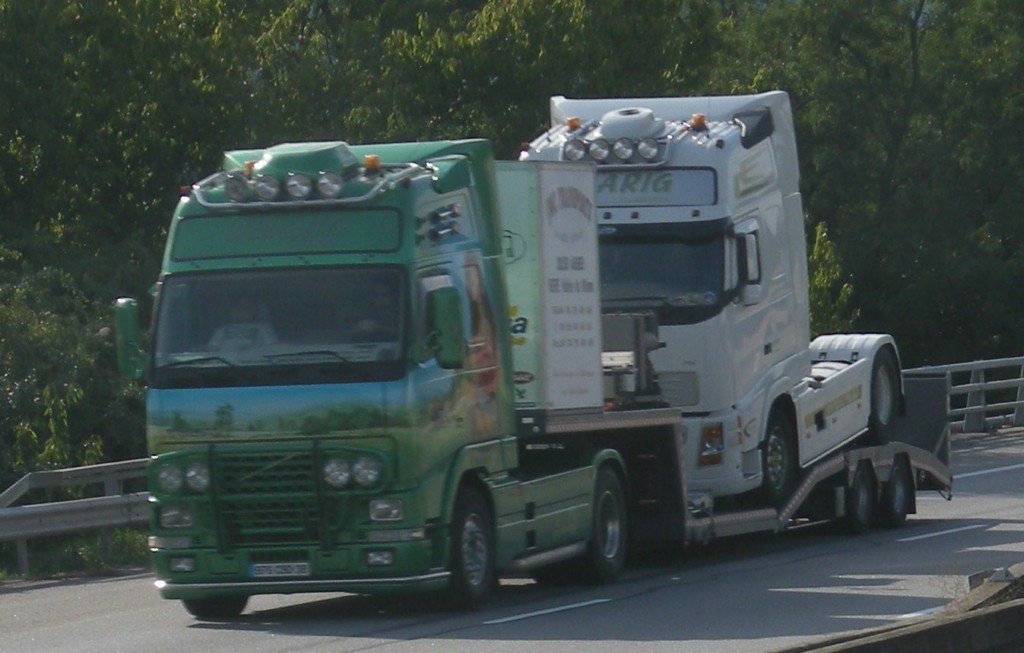 duarig